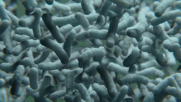 Los riesgos de la bacteria bacillus cereus en alimentos - Traza